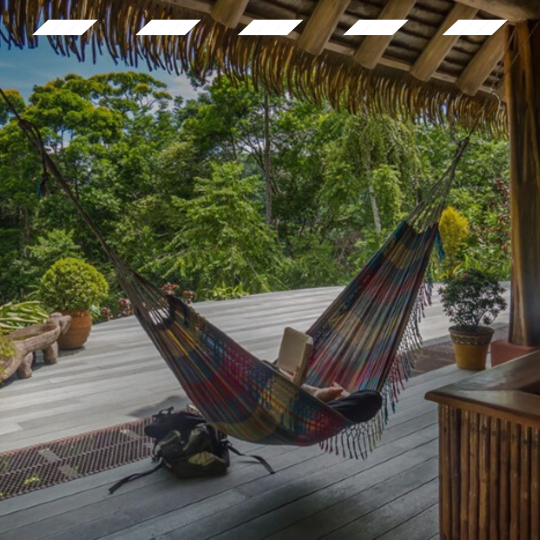 Rainforest Reef Escape