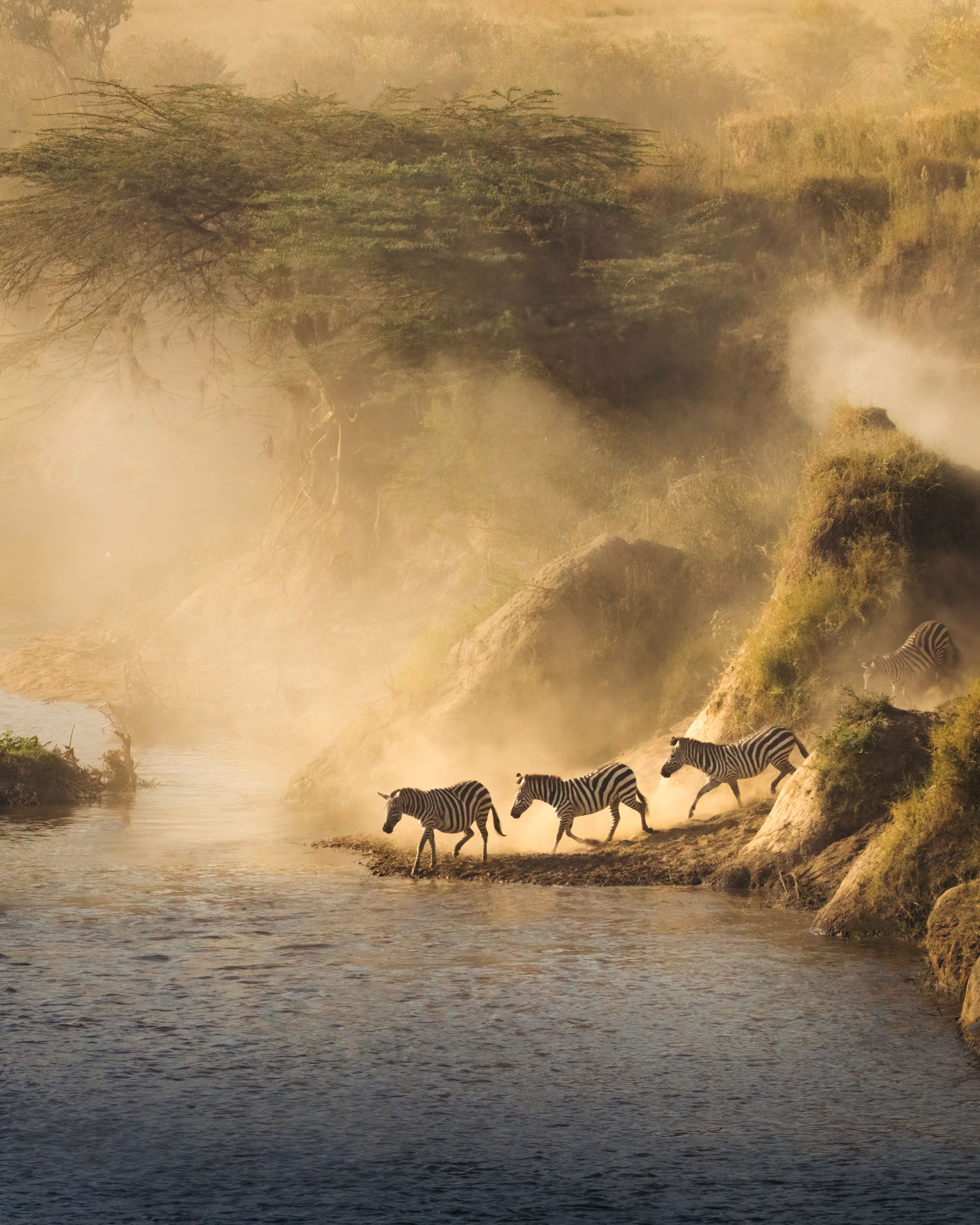 Witness the Great Migration of Africa at Maasai Mara